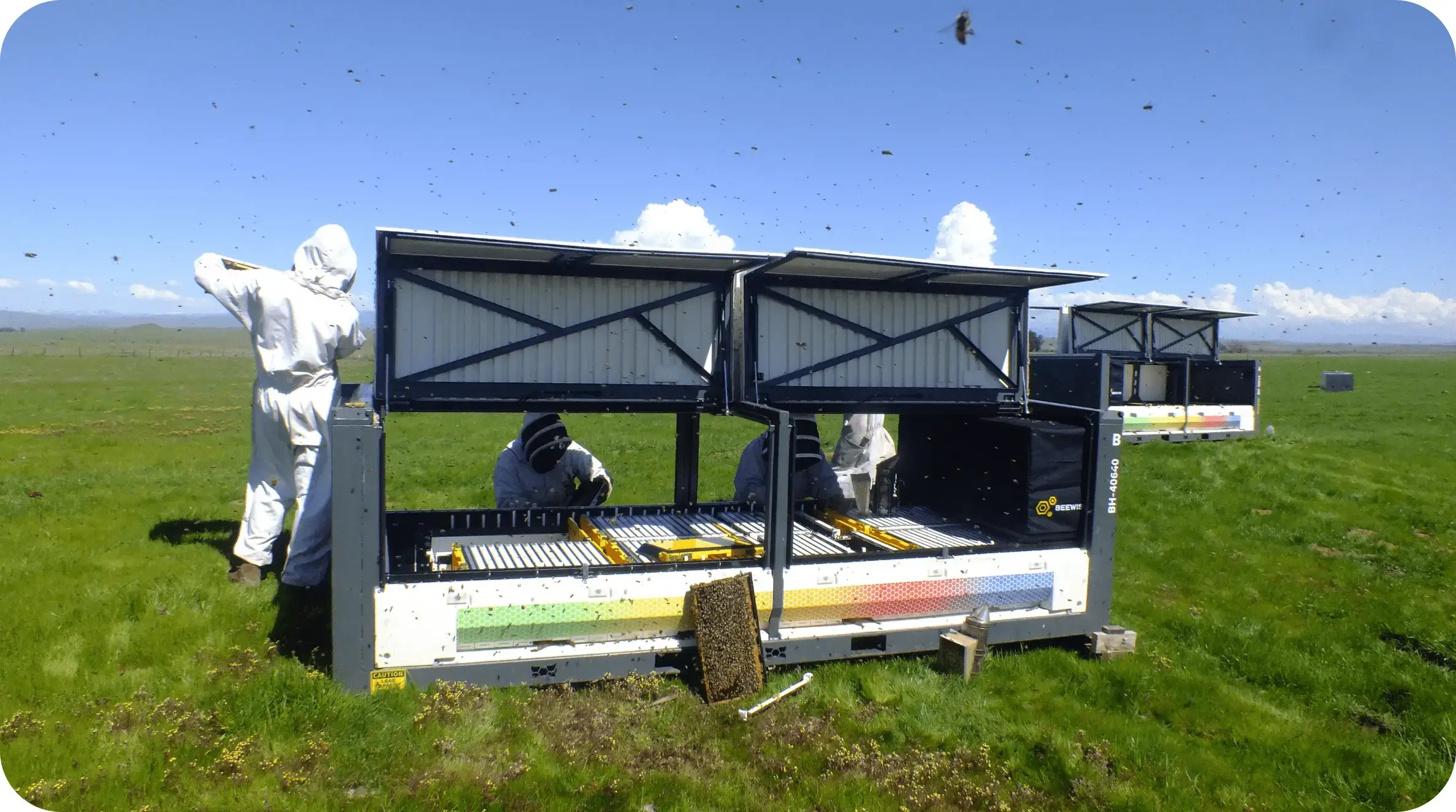 AI and Robotic Powered Hives for Beekeepers | Beewise